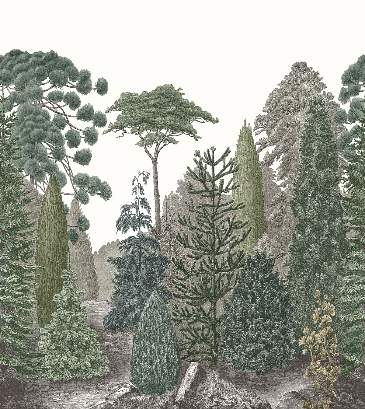 Papier peint panoramique Forêt Pinede M vert pin 250x280 - Méditerranée ...