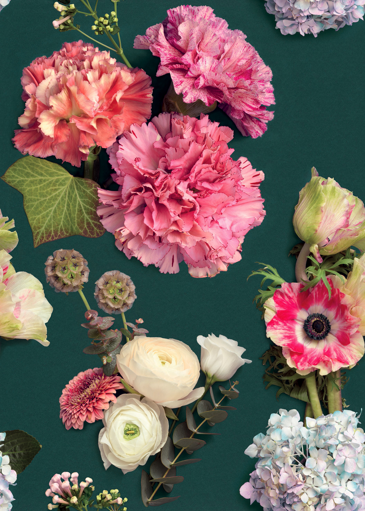 Panoramique Bouquet fleurs - Florescence de Casadeco